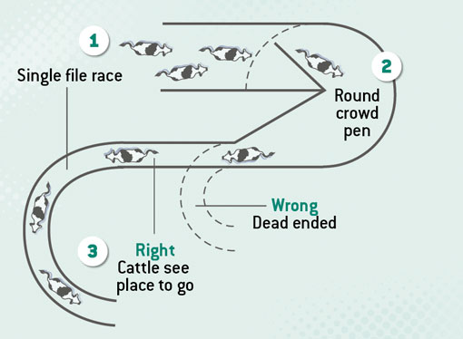 Temple Grandin – Seeing the World as A Cow Would – Food (Policy) For ...